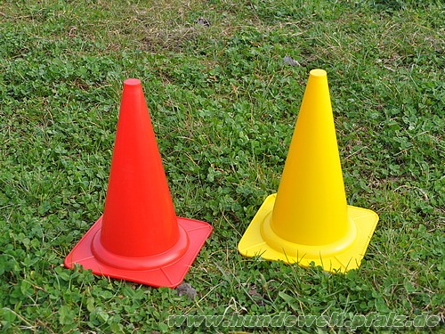 Hundewelt-Pfalz - Pylone Gelb, 23cm